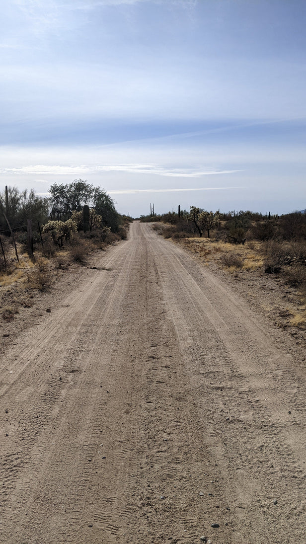 Fall/Winter 2023: ELEMENT – Rosa Kilgore, LLC