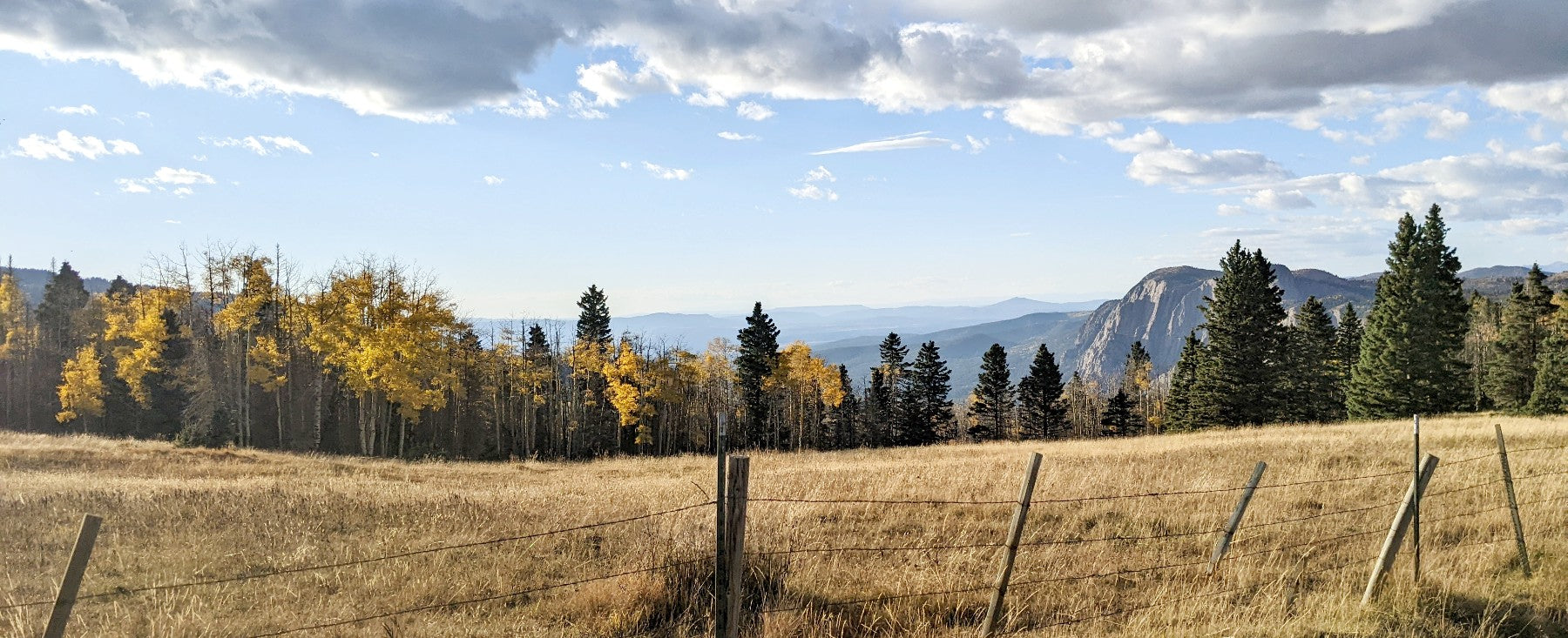 ELEMENT + + + – Rosa Kilgore, LLC